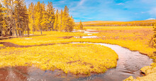 Yellowstone Wetlands Free Stock Photo - Public Domain Pictures