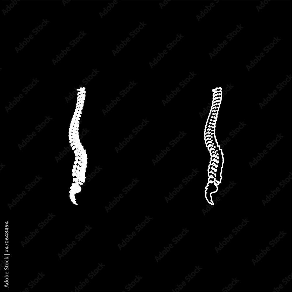 Spinal vertebral column spine backbone icon white color vector ...