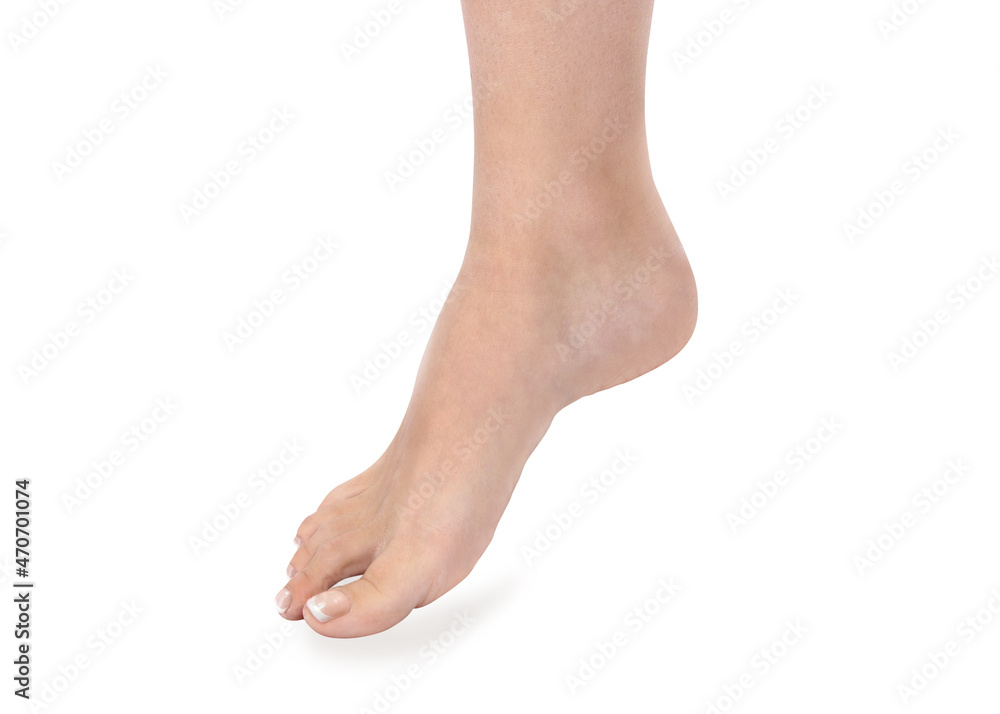 Foot and ankle joint isolated on a white background. Bare foot is on ...