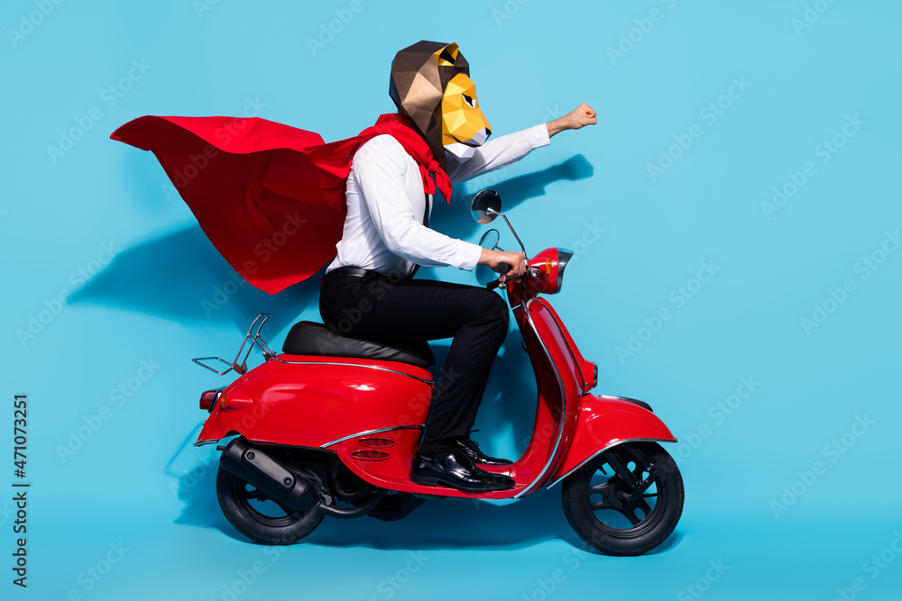 Full body profile side photo of weird lion mask wear red mantle guy ...