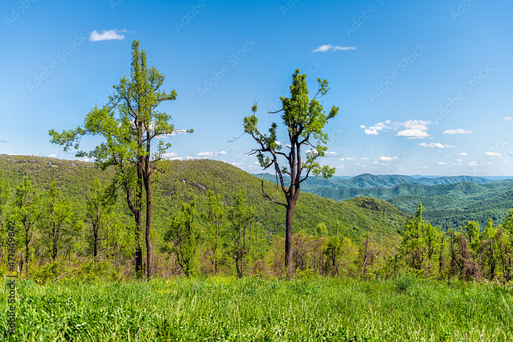 Appalachian Shenandoah Blue Ridge mountains on parkway Three Ridges ...