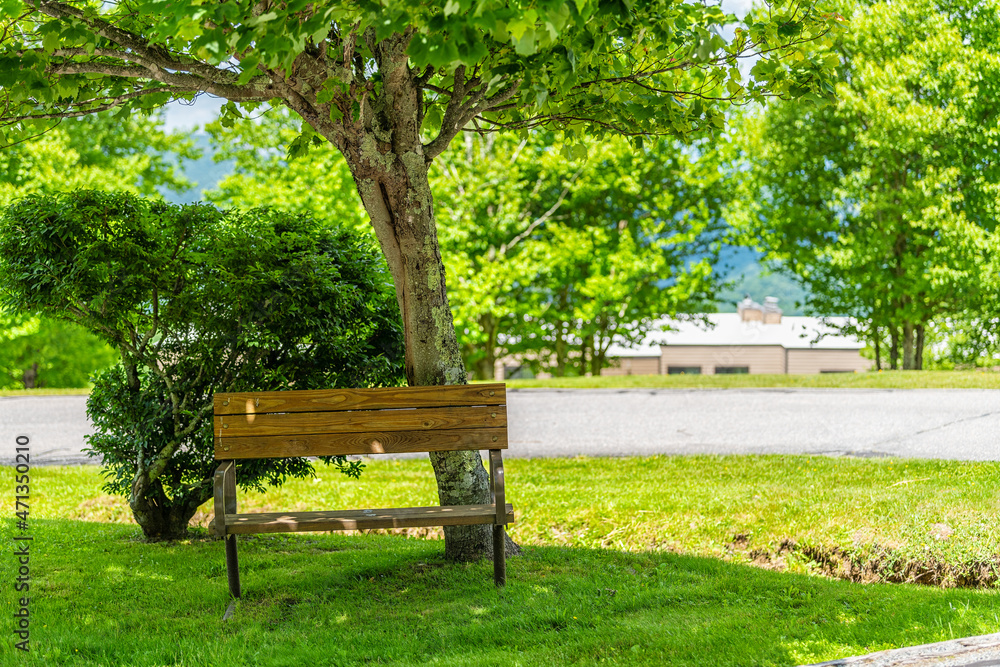 Sugar Mountain ski resort town park with idyllic bench under tree and ...