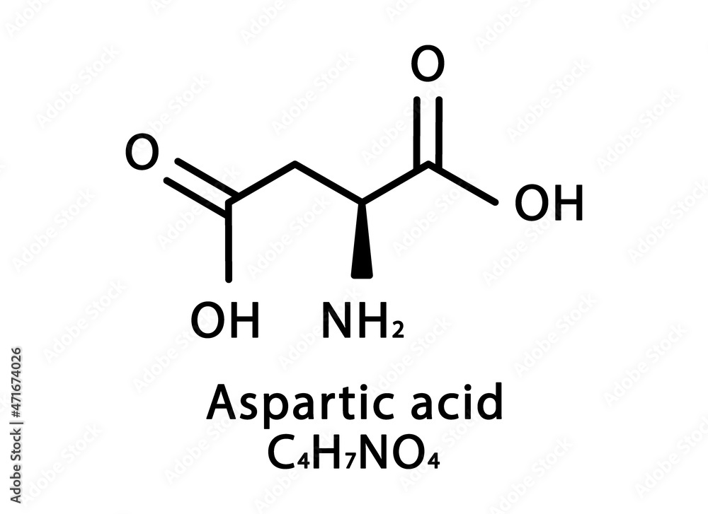 Aspartic acid molecular structure. Aspartate skeletal chemical formula. Chemical molecular ...