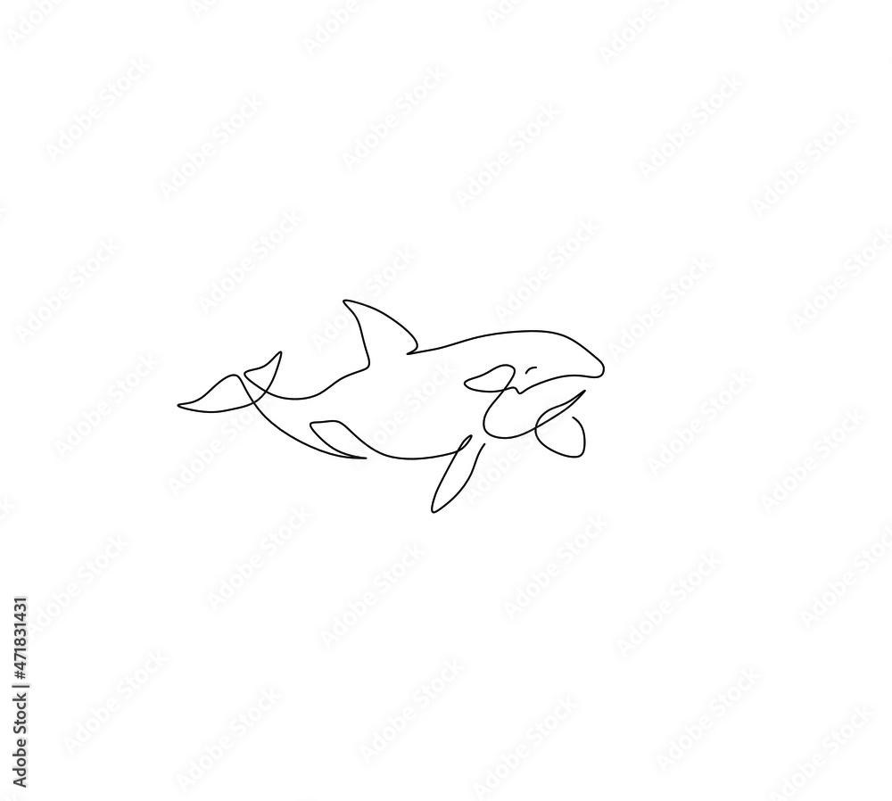 Vector isolated killer whale dolphin orca contour line drawing ...