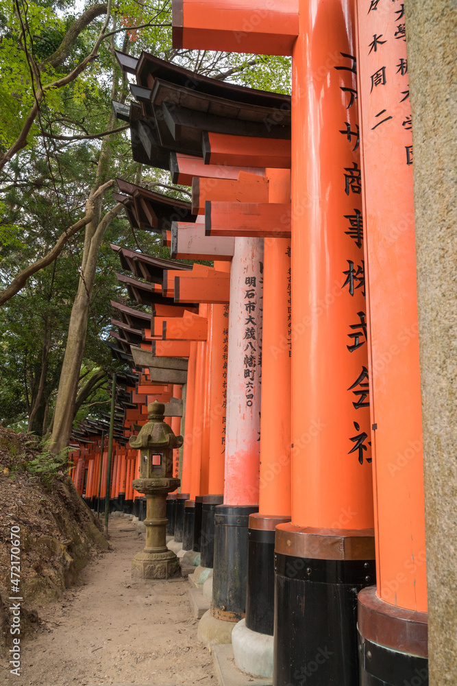 Senbon Torii (Thousands Torii Gates) is a corridor of vermillion torii ...