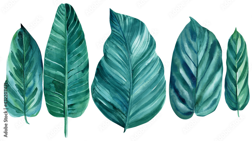 Watercolor illustration. Tropical leaves, jungle. Tropic wrapping paper ...