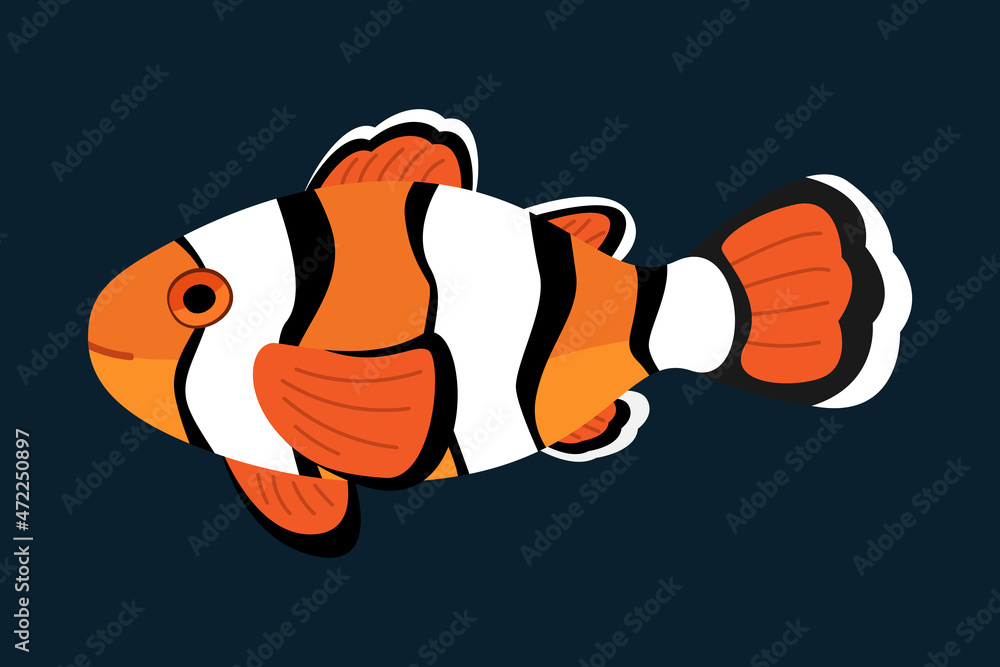 Ocellaris clown fish in flat cartoon style. Isolated vector. Stock ...