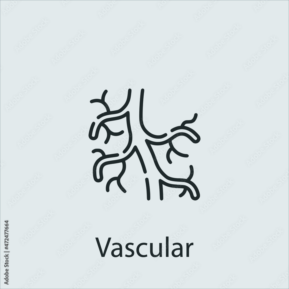 vascular icon vector icon.Editable stroke.linear style sign for use web ...