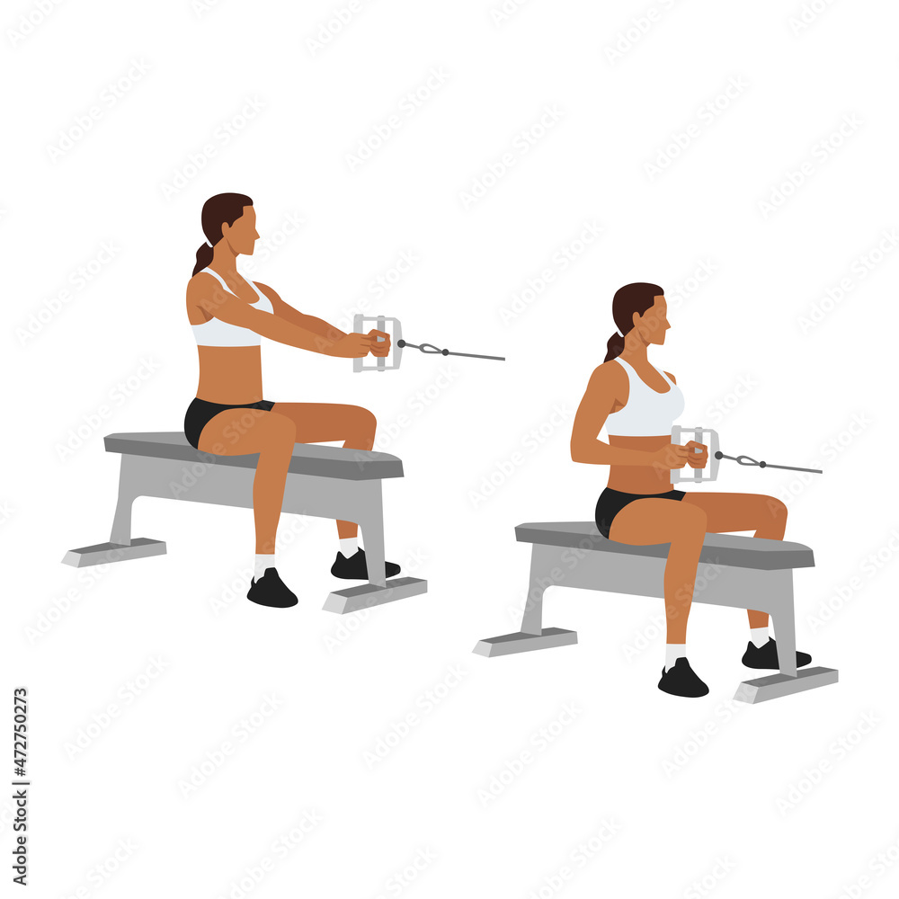 Woman doing Seated Low cable back rows exercise. Flat vector ...