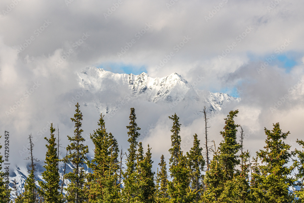 Nature landscape scene with snow capped mountains and boreal forest ...