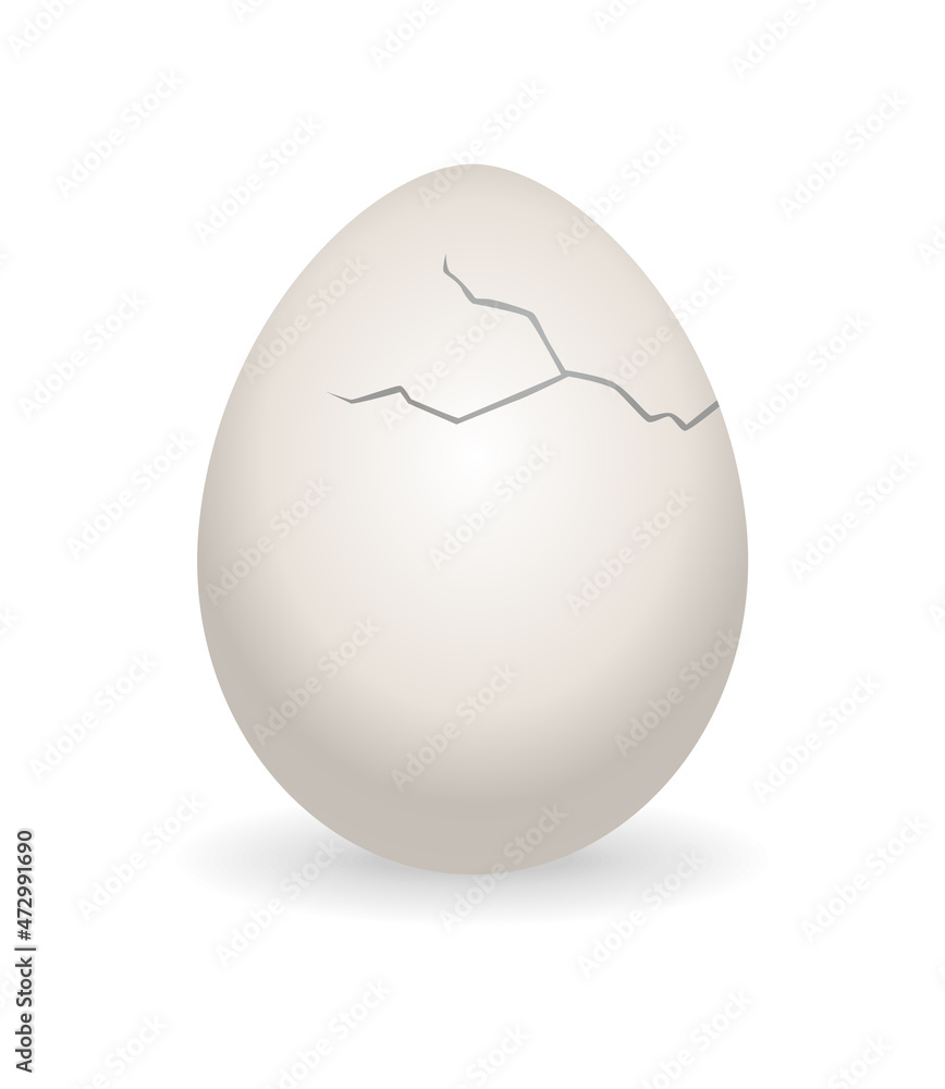 Vector de Stock Cracked egg. Eggshell cracking stage. Realistic chicken egg with broken eggshell ...