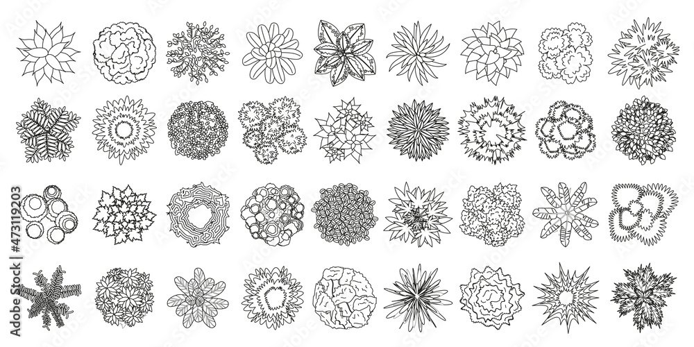 Vector de Stock Vector set. Trees, bushes and plants. Top view ...