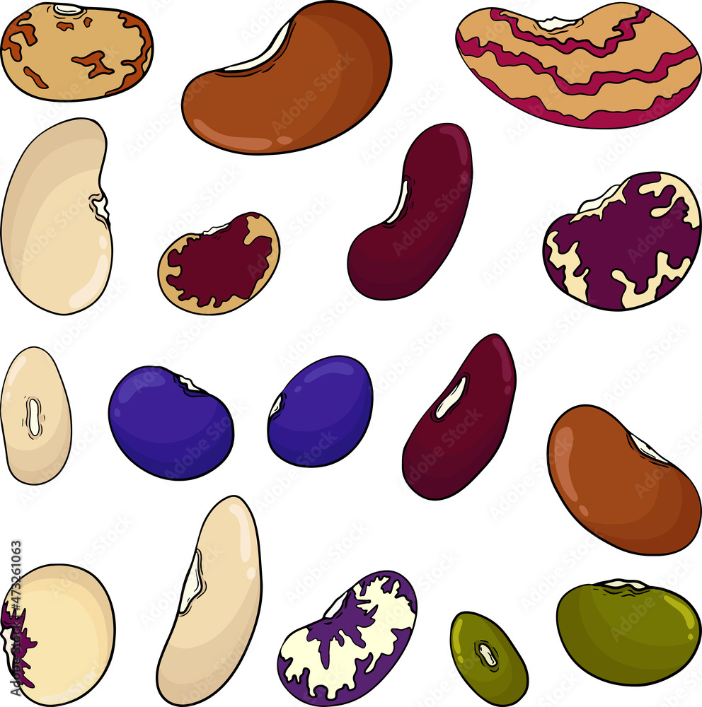 Pods and beans. Hand drawn sketch on white background. Beans and pods ...
