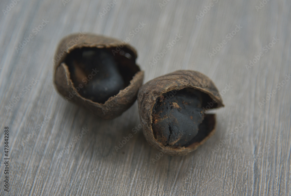 Pangium edule or Keluwak or Pucung in Indonesia language is tree native ...