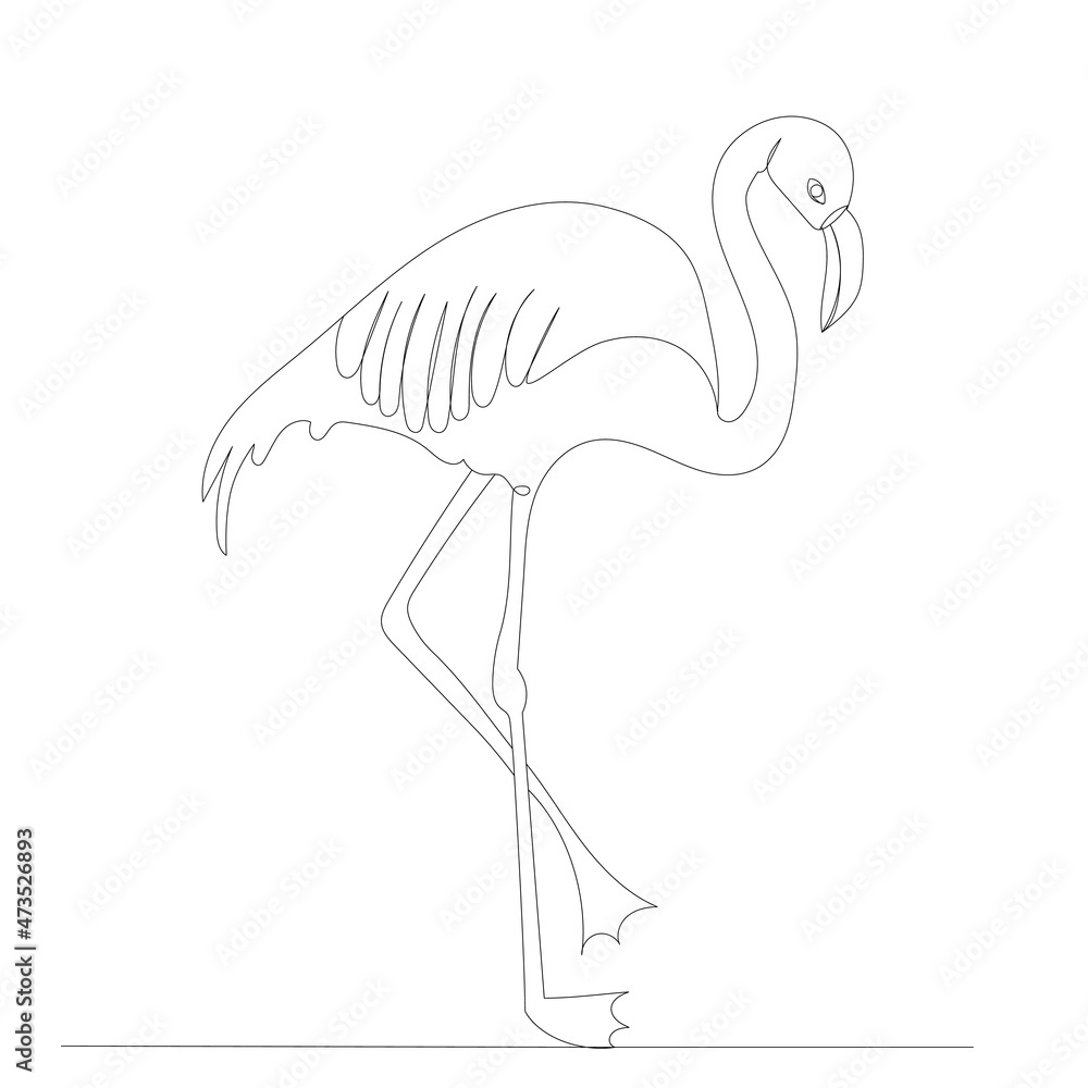 flamingo, continuous line drawing, sketch, vector Stock Vector | Adobe ...