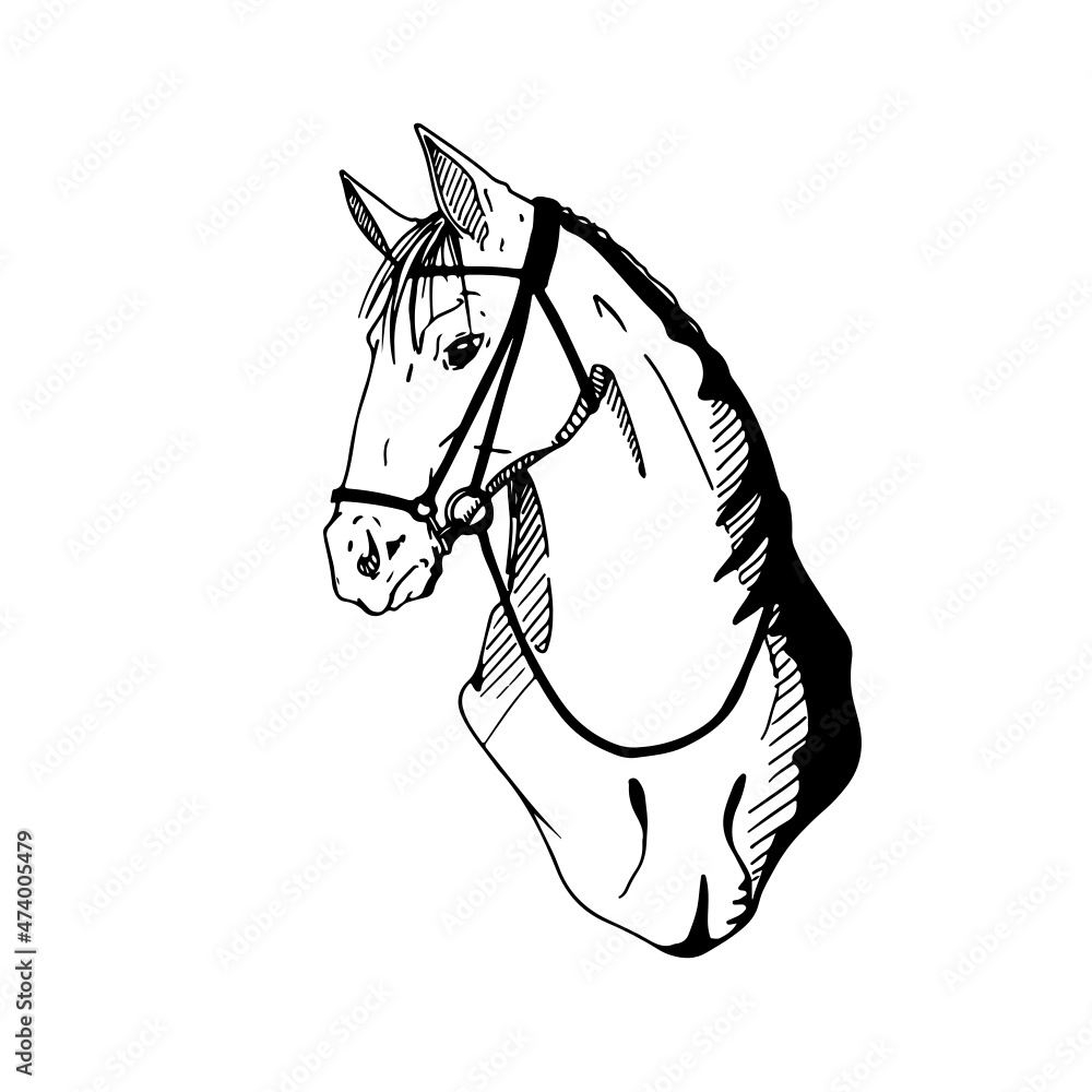 Horse Animal Line Art Silhouette Design Element Art SVG EPS Logo PNG ...
