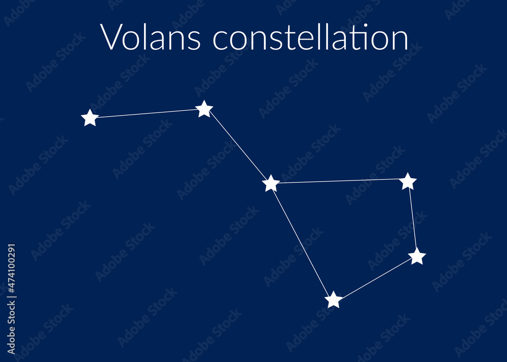 Volans zodiac constellation sign with stars on blue background of ...