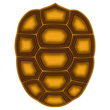 Tortoise Shell Texture And Pattern Free Stock Photo - Public Domain ...