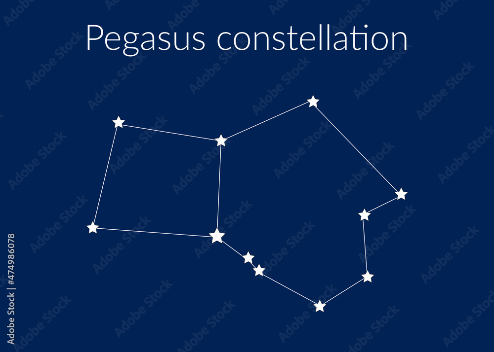 Pegasus zodiac constellation sign with stars on blue background of ...