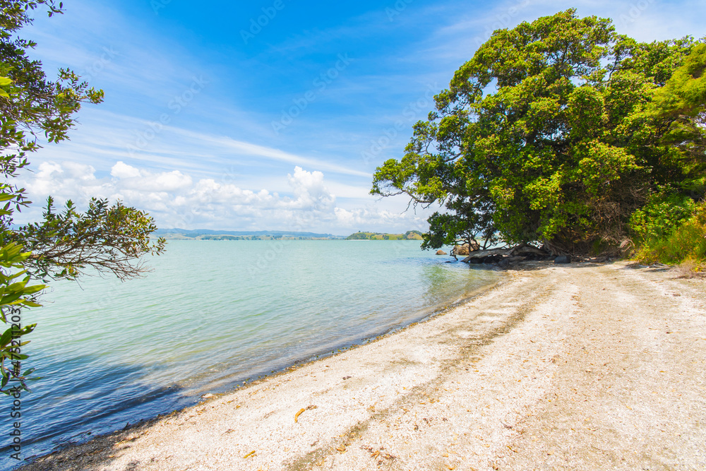 Panoramic Scenery of Te Wharau Bay Beach Duder Regional Park, Auckland ...