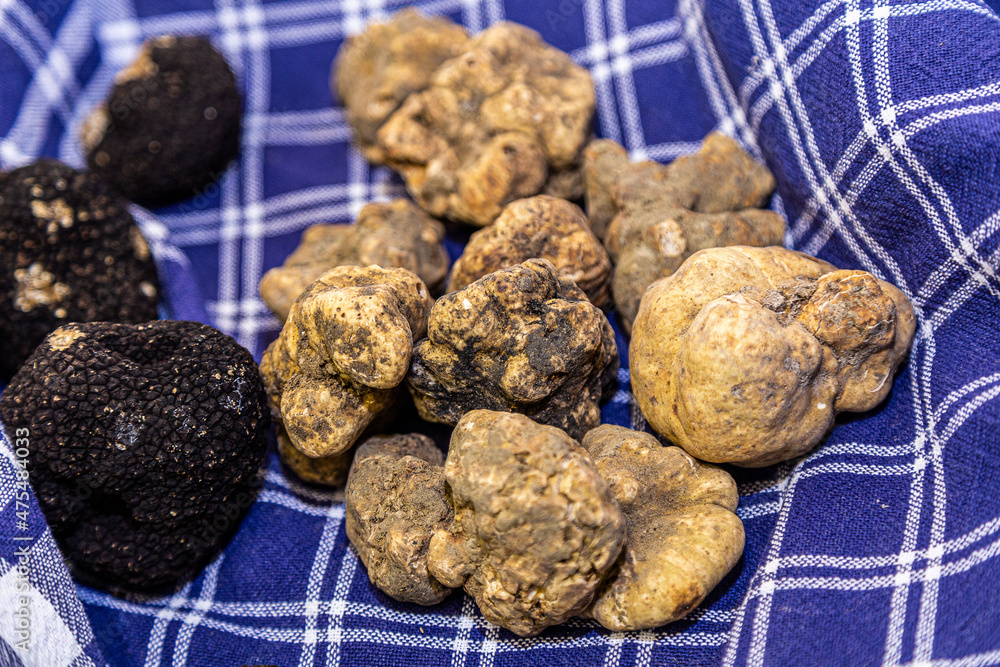 Tartufi appena cavati Patrimonio Unesco Stock Photo | Adobe Stock