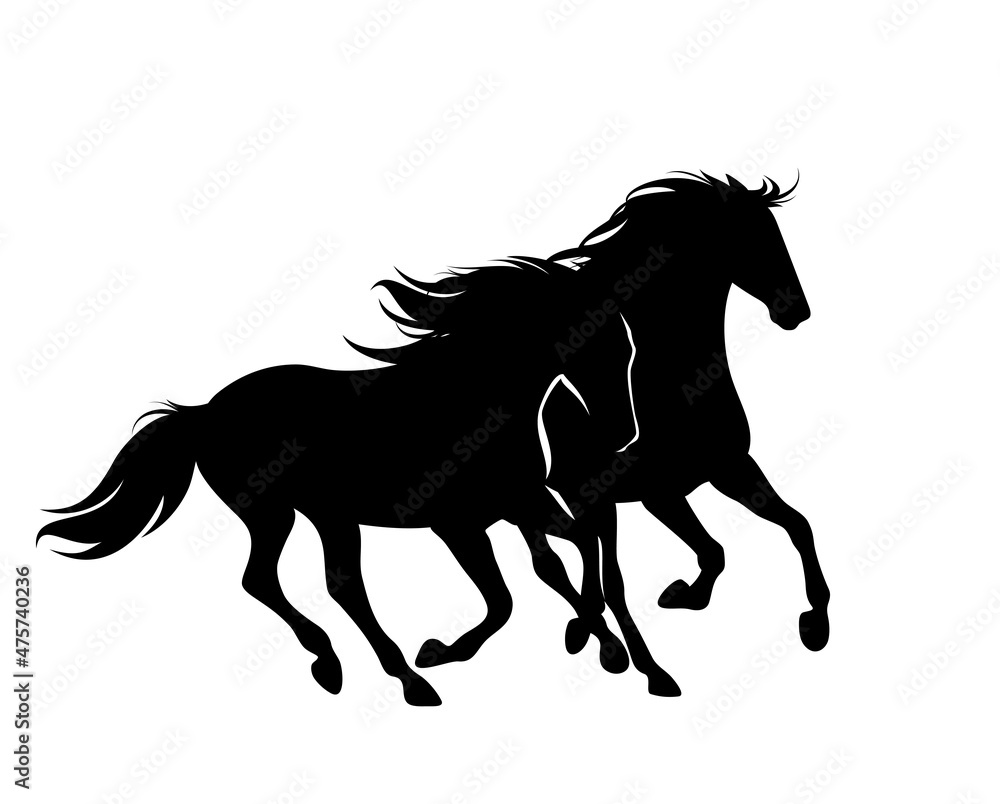 pair of wild mustang horses with long manes and tails - two animals ...