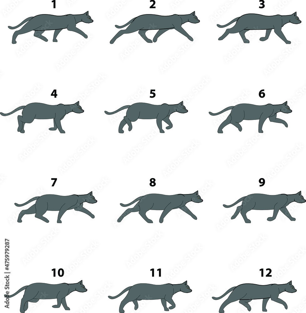 Cat walking cycle animation vectors for cartoon video Stock Vector | Adobe Stock
