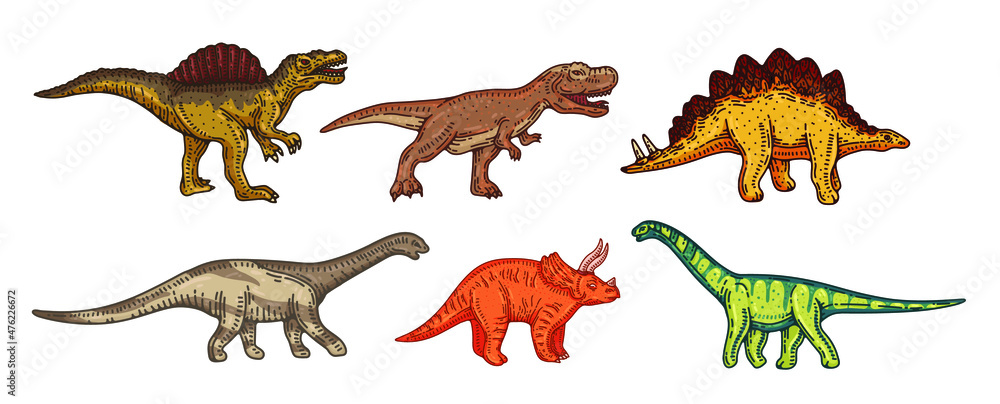 dinosaur illustrations hand drawn vector set. prehistoric extinct ...