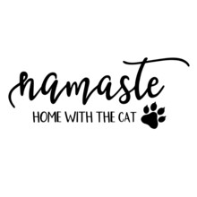 Namaste Cat Free Stock Photo - Public Domain Pictures