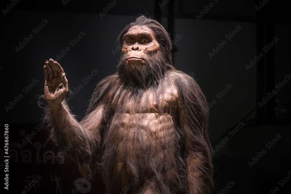 Bangkok, Thailand - November 13 2020: Australopithecus at Rama9 museum ...