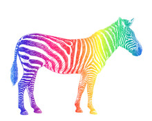 Zebra Rainbow Stripes Poster Free Stock Photo - Public Domain Pictures