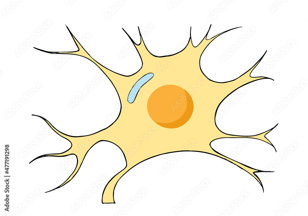 Sketch of a neuron in doodle style. Hand Drawn. The structure of the ...