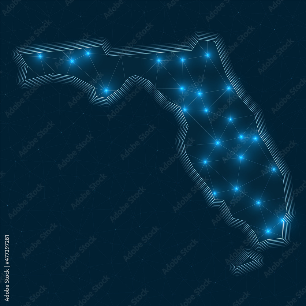 Florida network map. Abstract geometric map of the US state. Digital ...