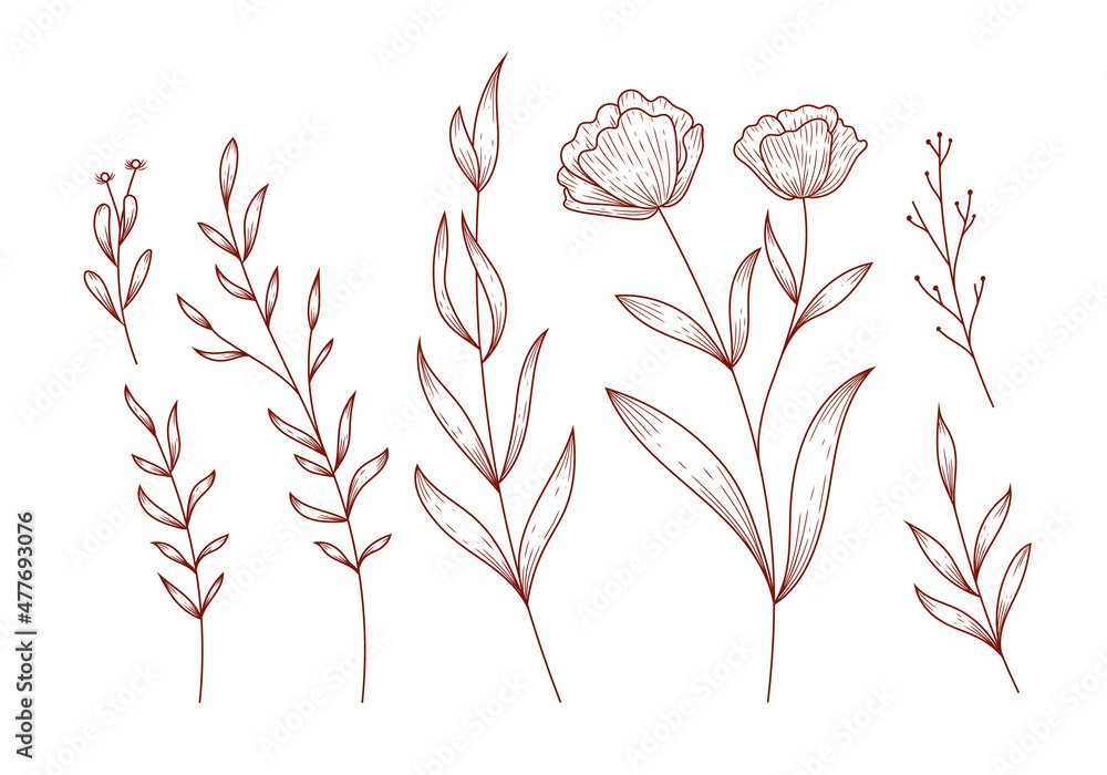 Rustic Hand drawn leaves floral flower isolated clipart illustration ...
