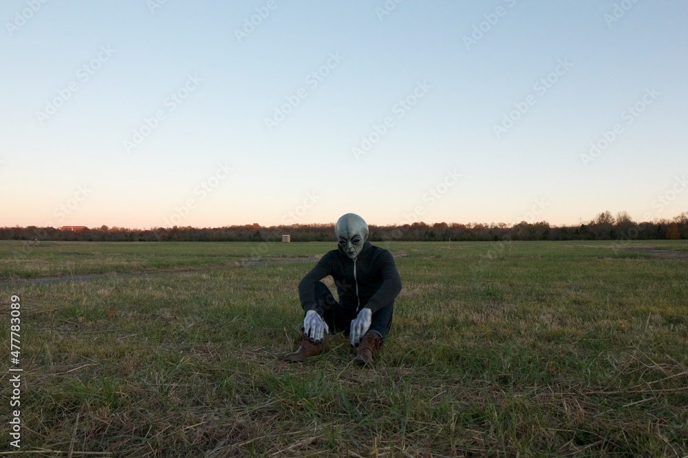 Stranded Alien at the UFO crash site Stock Photo | Adobe Stock