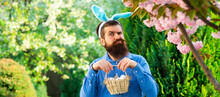 Happy Easter Guy Bunny Free Stock Photo - Public Domain Pictures