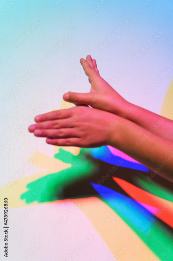 Rainbow Bird Puppet Stock Photo | Adobe Stock
