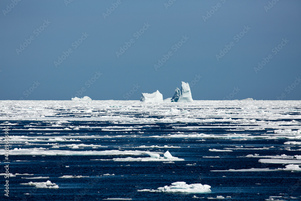 Icebergs floating in the melting sea ice in the Davis Strait. Stock ...