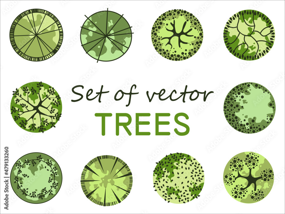 Trees for the master plan. Tree for architectural floor plans ...