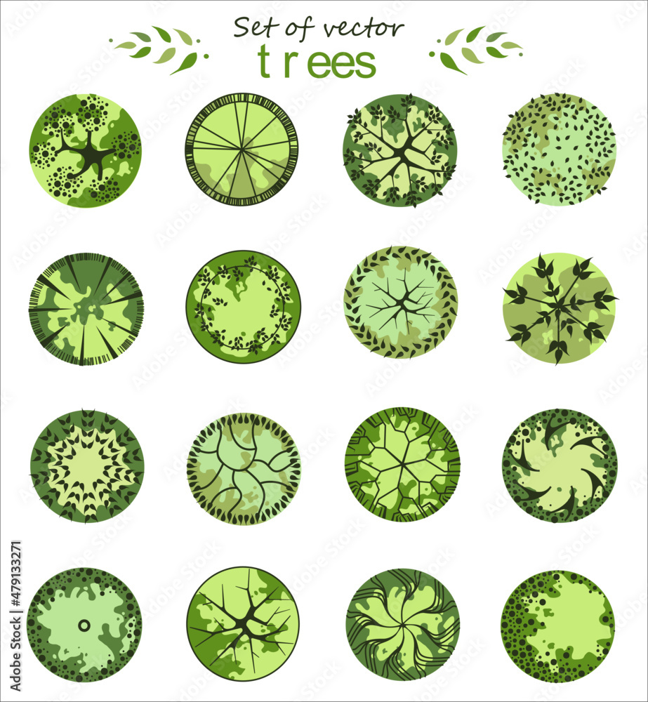 Trees for the master plan. Tree for architectural floor plans ...