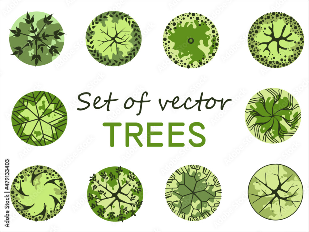 Trees for the master plan. Tree for architectural floor plans ...