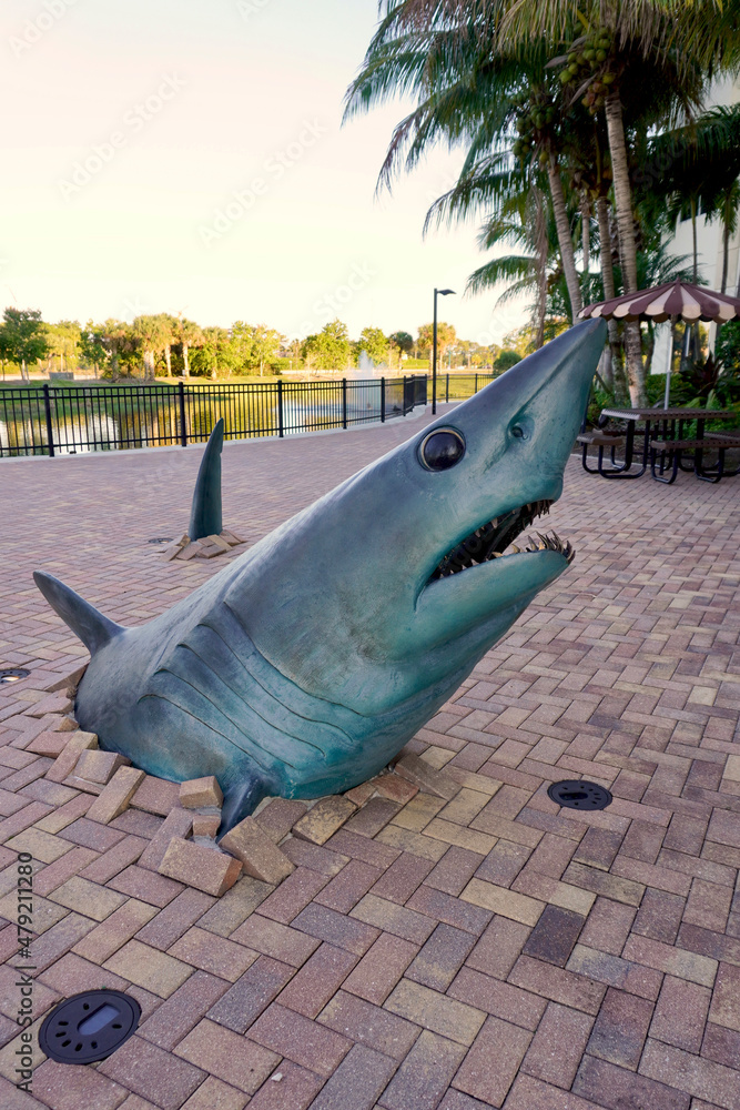 Mako shark swimming up from the brick sidewalk at Nova Southeastern ...