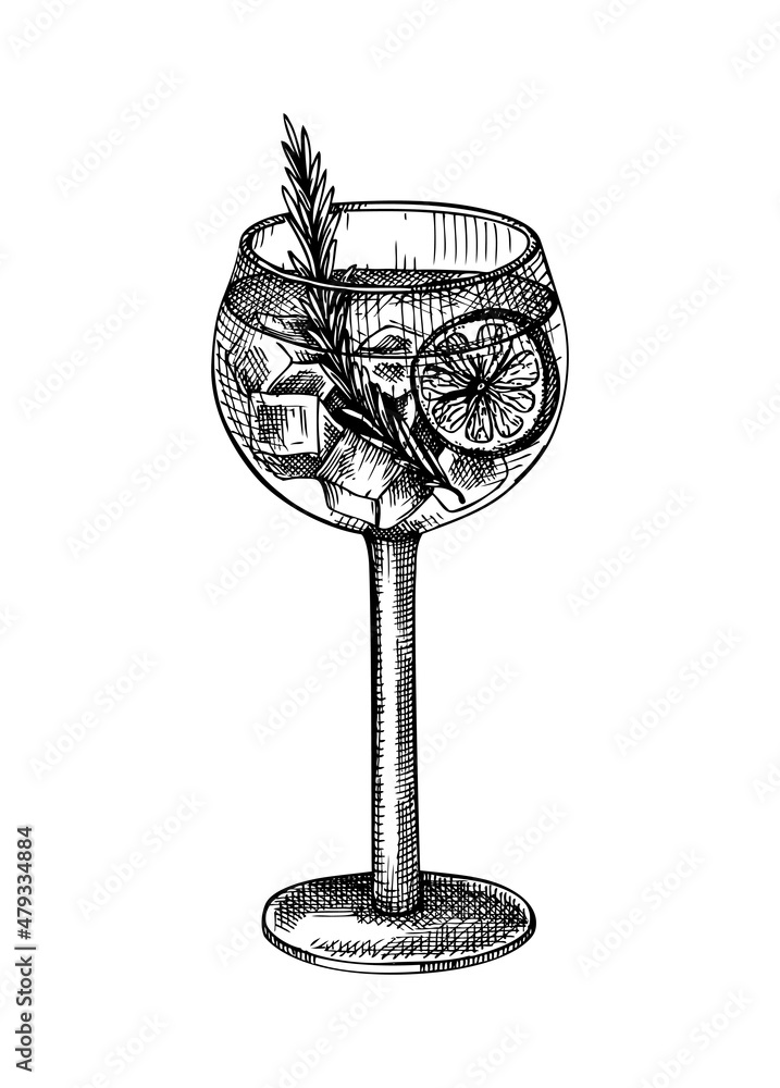 เวกเตอร์ Stock Hand-sketched Gin and tonic cocktail illustration ...