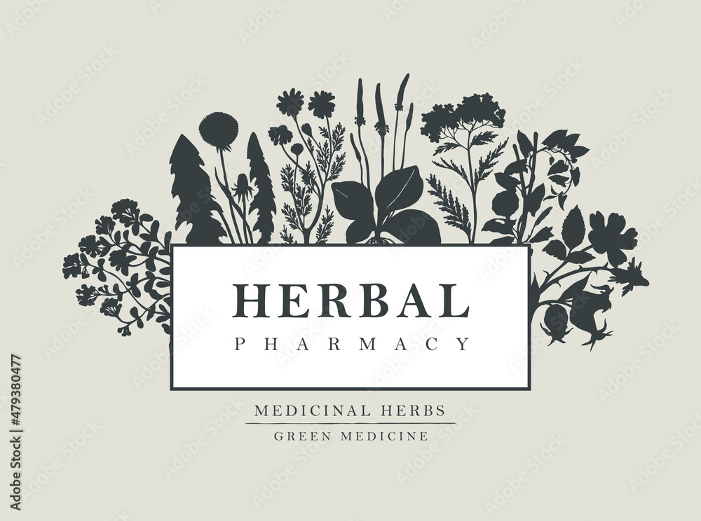 Vector banner or label with the words Herbal pharmacy. Decorative frame ...
