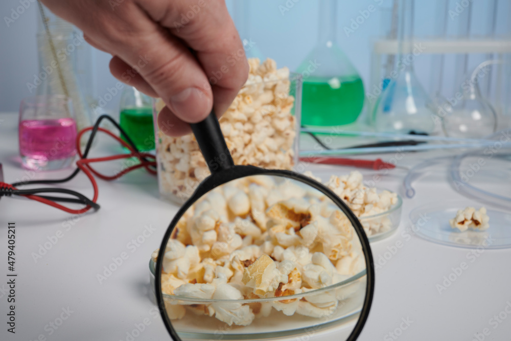 Hand takes magnifier to look pop corn grains in a lab petri dish. Food ...