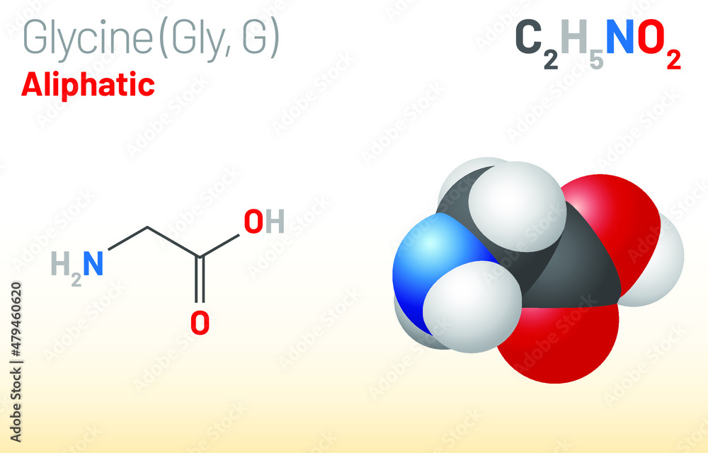 Glycine (Gly, G) amino acid molecule. (Chemical formula C2H5NO2) Ball ...
