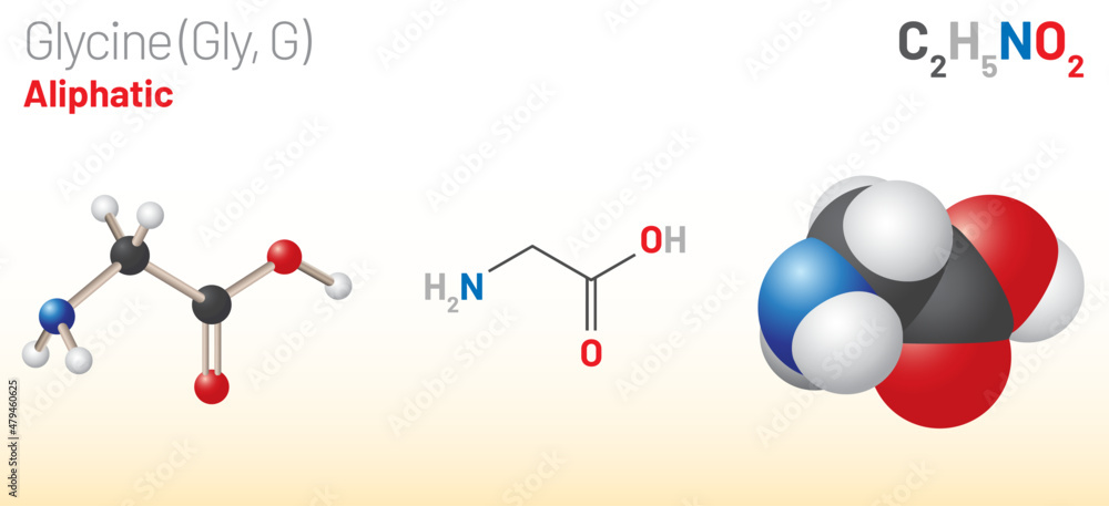 Glycine (Gly, G) amino acid molecule. (Chemical formula C2H5NO2) Ball ...