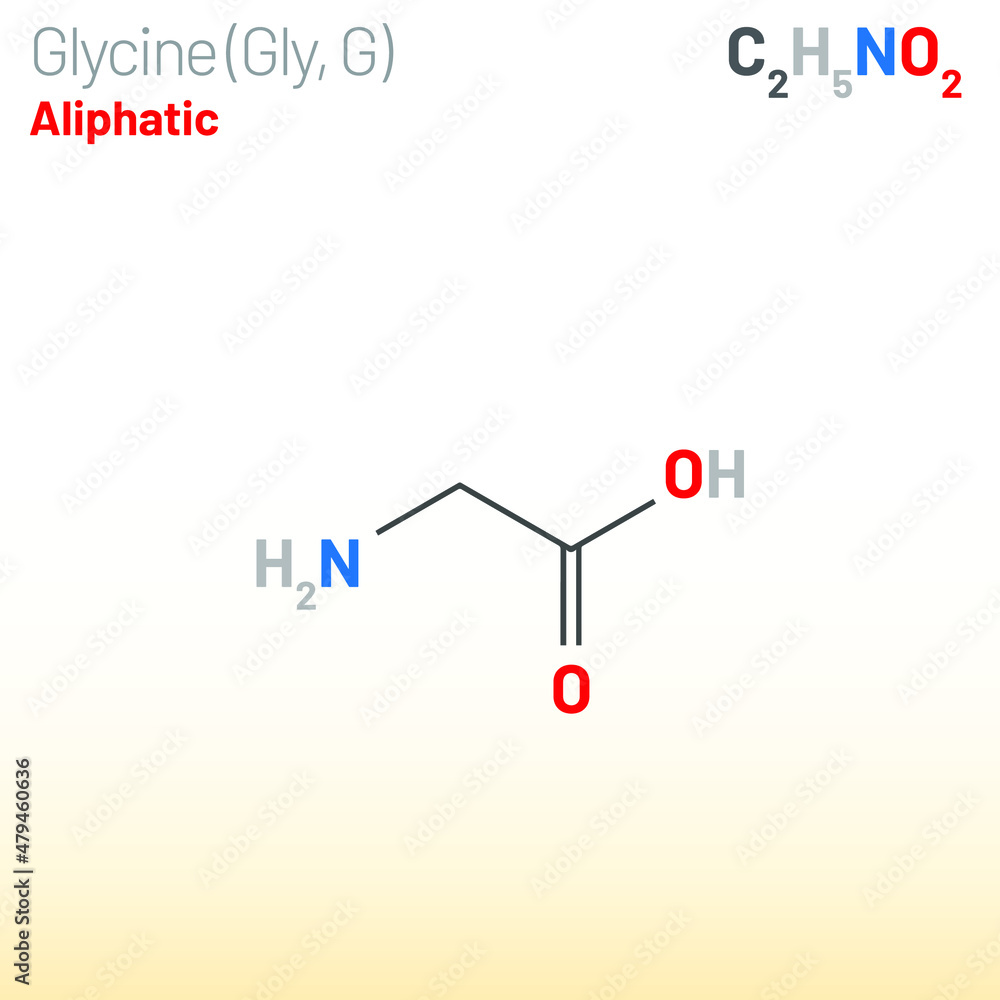 Glycine (Gly, G) amino acid molecule. (Chemical formula C2H5NO2) Ball ...