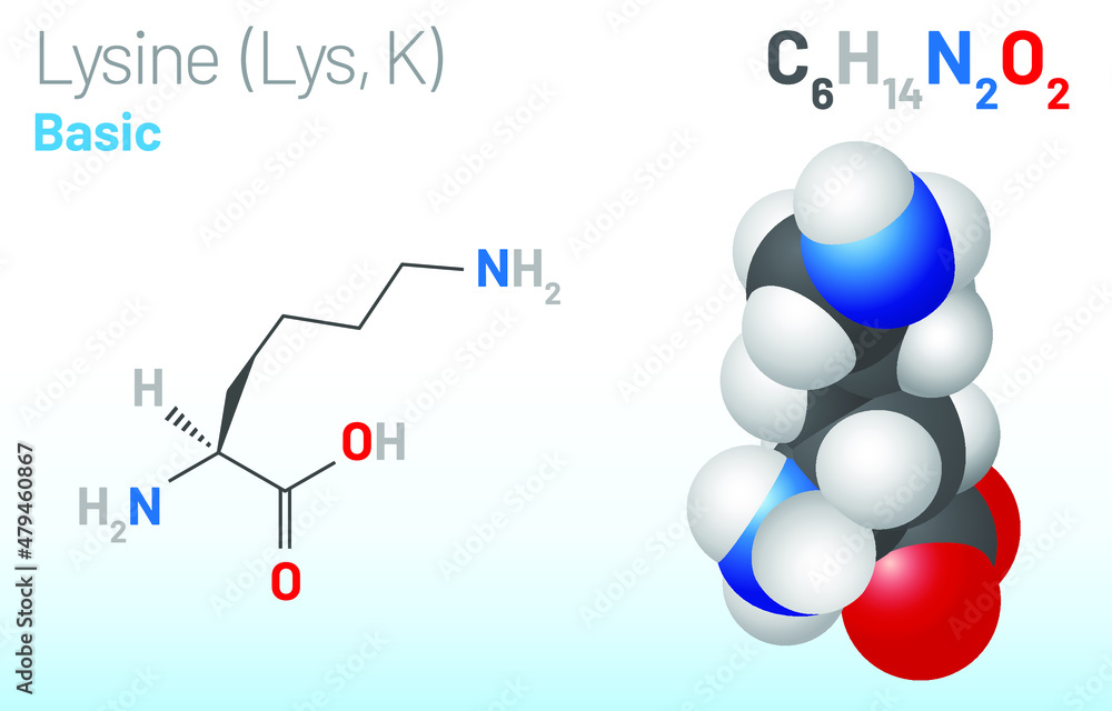 Stock-Vektorgrafik „Lysine (Lys, K) amino acid molecule. (Chemical ...