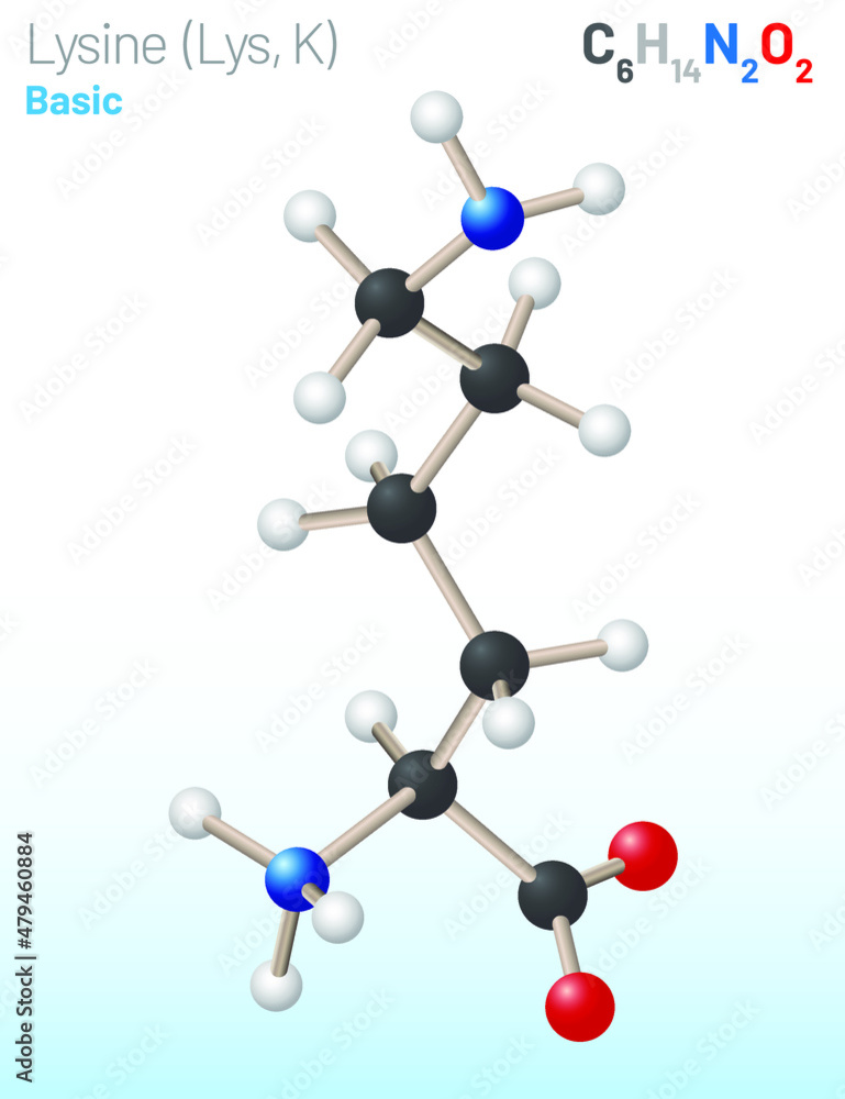 Lysine (Lys, K) amino acid molecule. (Chemical formula C6H14N2O2) used ...